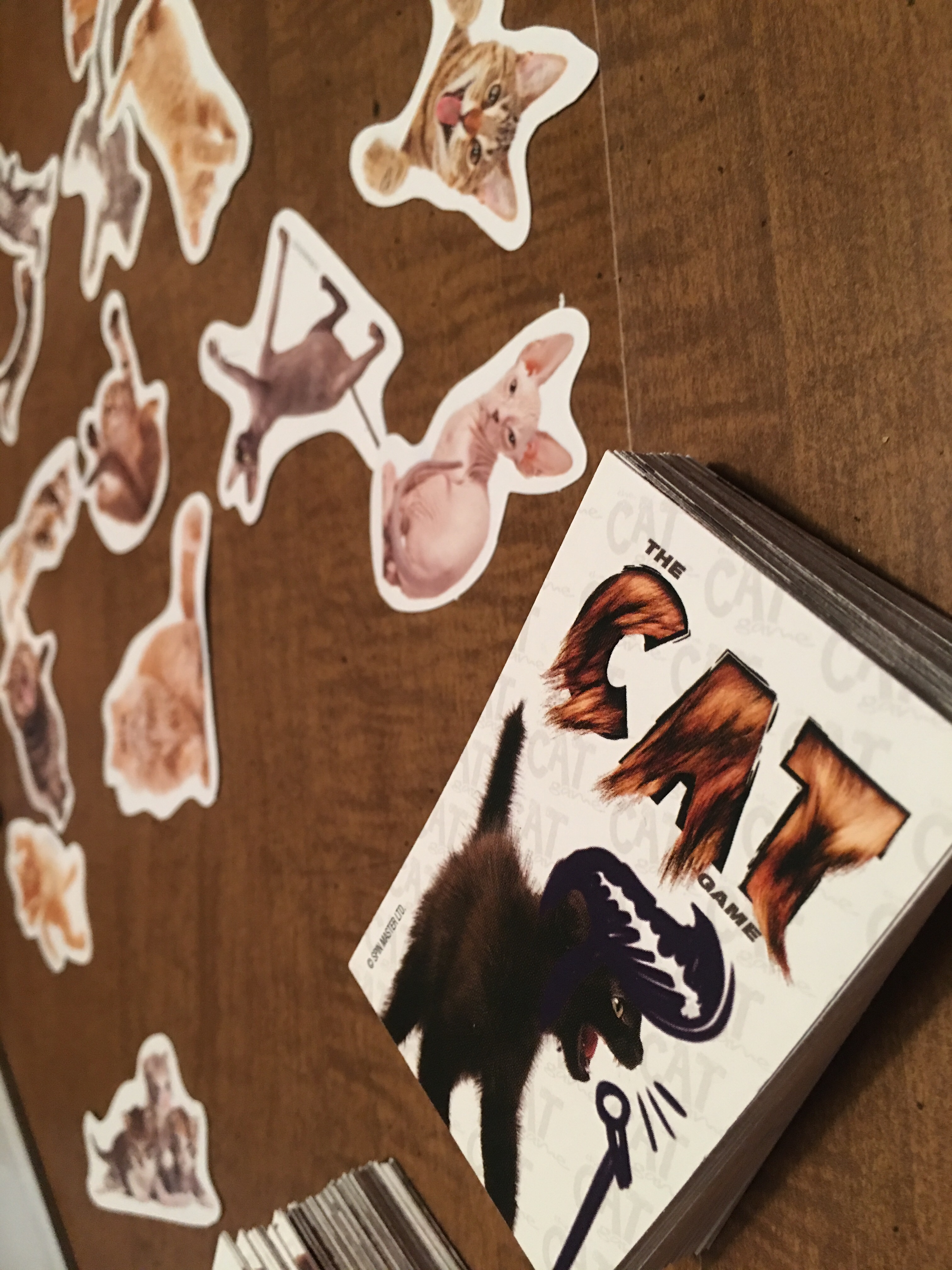 The Cat Game | The Tabletop Letters – Melissa Rose Rogers, Author